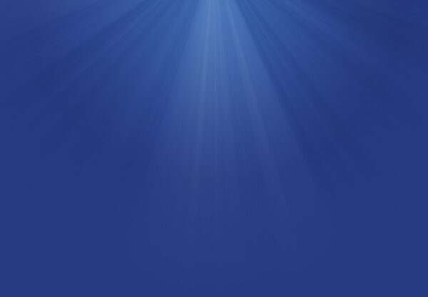 Which Skills for Smart Design - Unmanned Hub