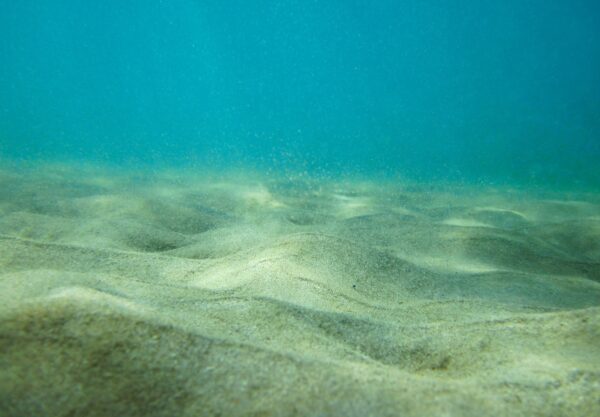 Discord: The Platform at the Center of Online Communities and AI ...